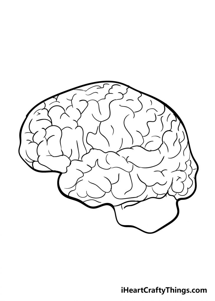 Brain Drawing - How To Draw A Brain Step By Step