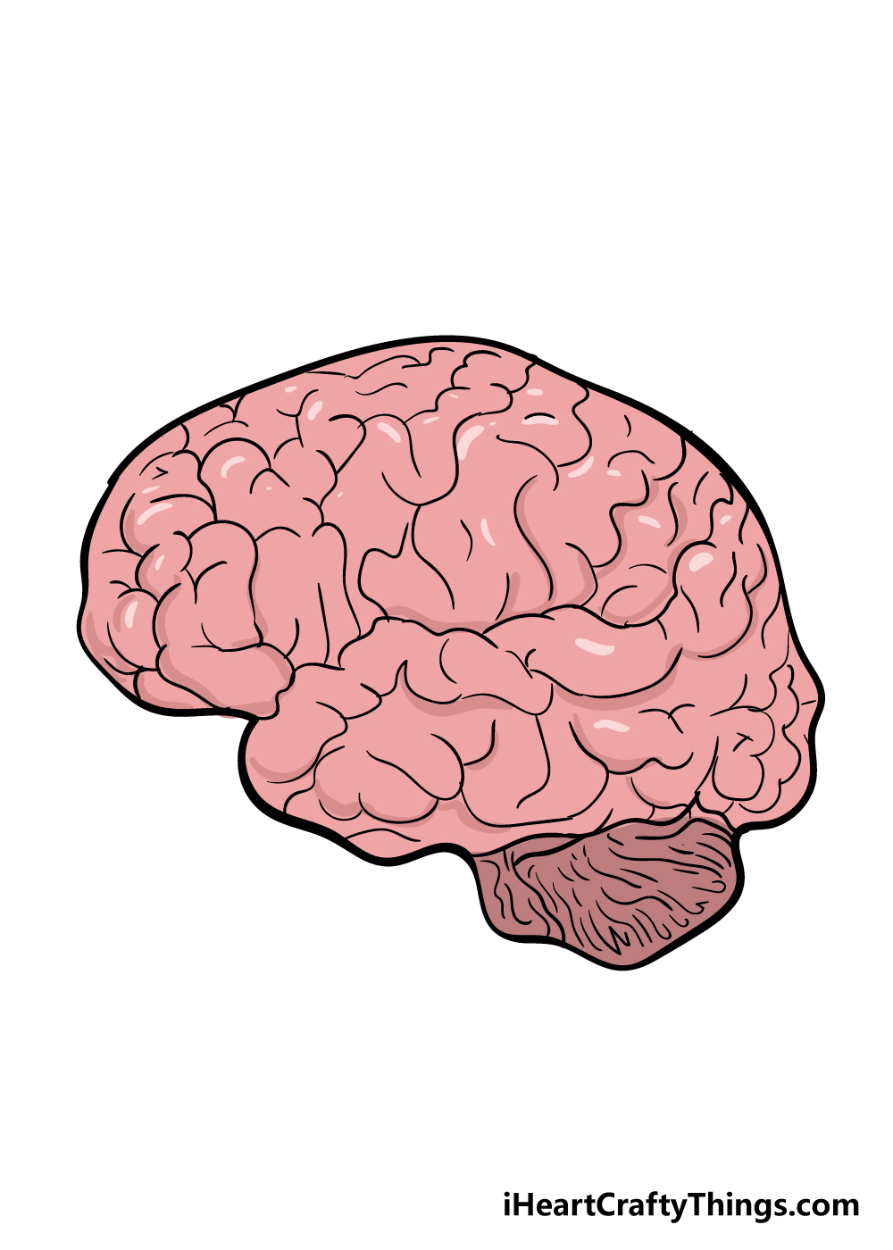 Brain Drawing How To Draw A Brain Step By Step