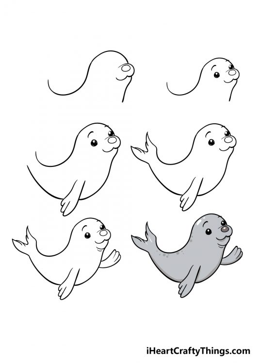 Seal Drawing - How To Draw A Seal Step By Step