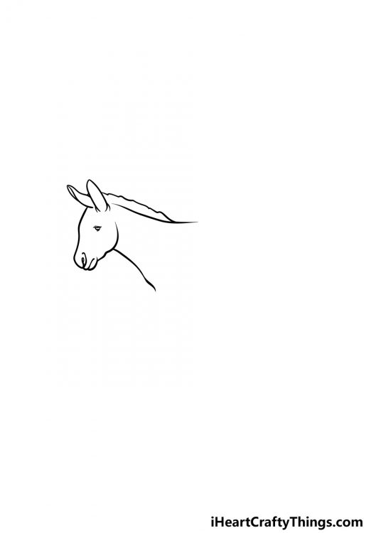 Donkey Drawing - How To Draw A Donkey Step By Step