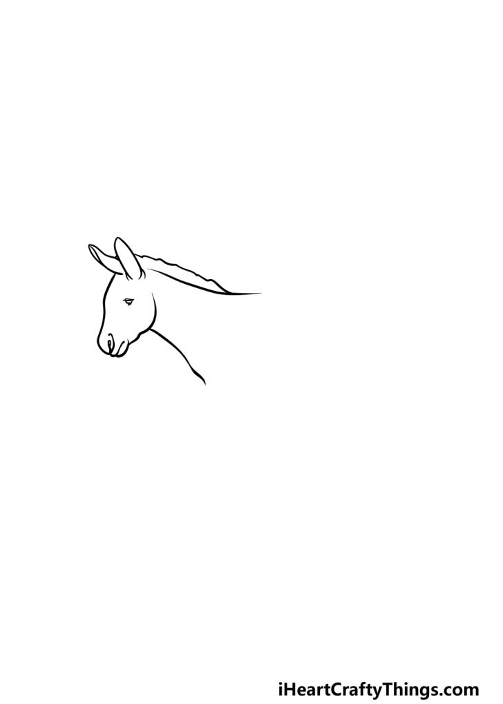 Donkey Drawing - How To Draw A Donkey Step By Step