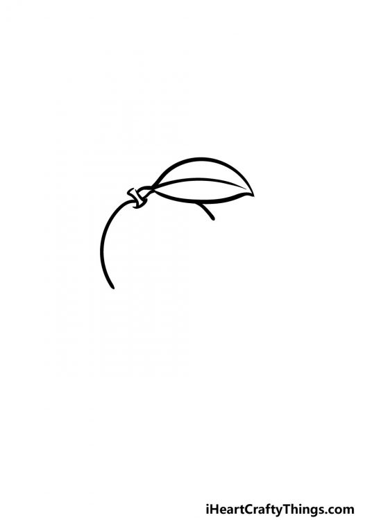 Orange Drawing - How To Draw An Orange Step By Step