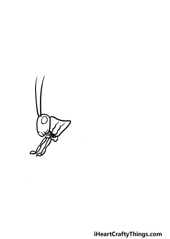 Grasshopper Drawing - How To Draw A Grasshopper Step By Step