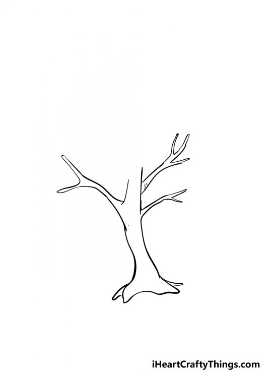 Branches Drawing - How To Draw Branches Step By Step