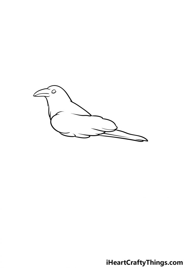 Crow Drawing - How To Draw A Crow Step By Step