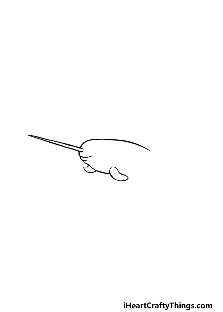 Narwhal Drawing - How To Draw A Narwhal Step By Step