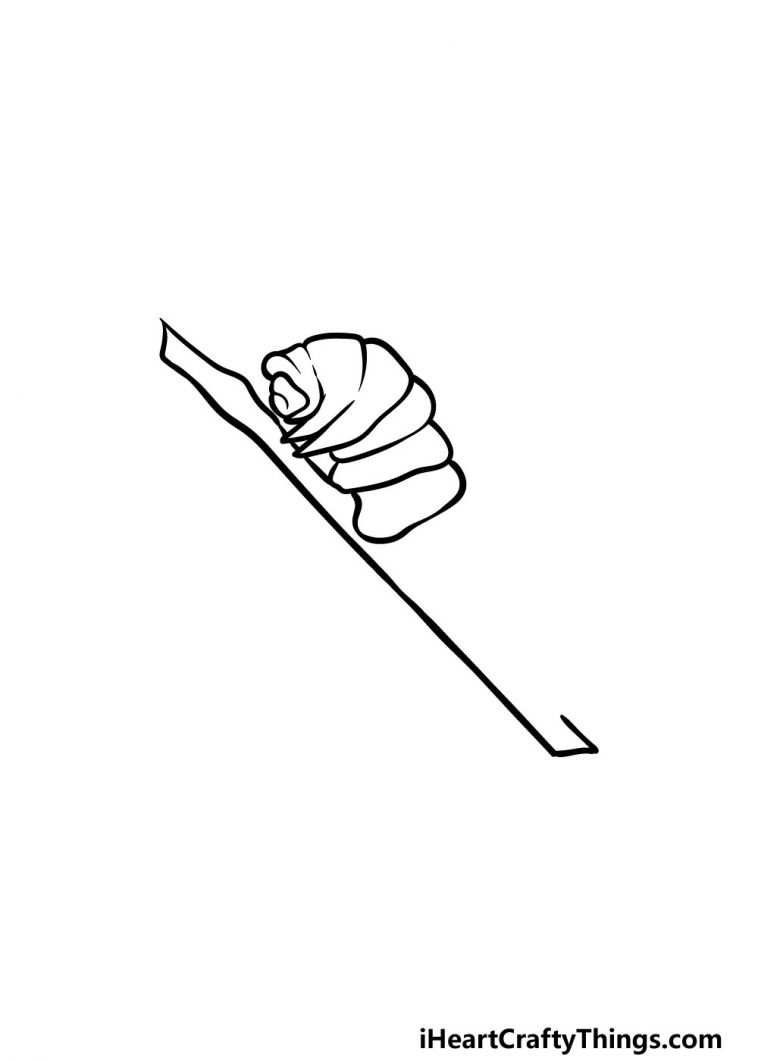 Caterpillar Drawing - How To Draw A Caterpillar Step By Step
