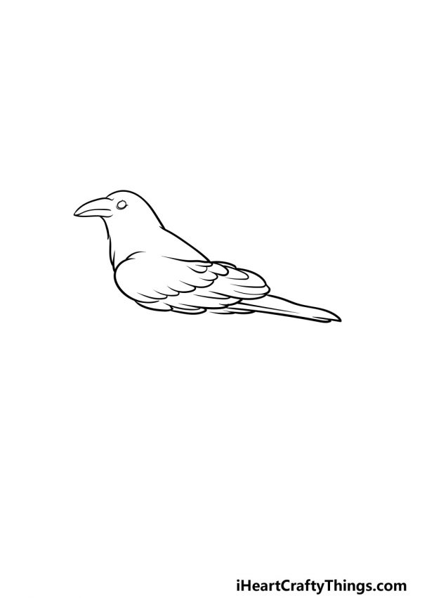 Crow Drawing - How To Draw A Crow Step By Step