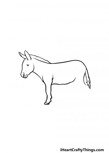 Donkey Drawing - How To Draw A Donkey Step By Step