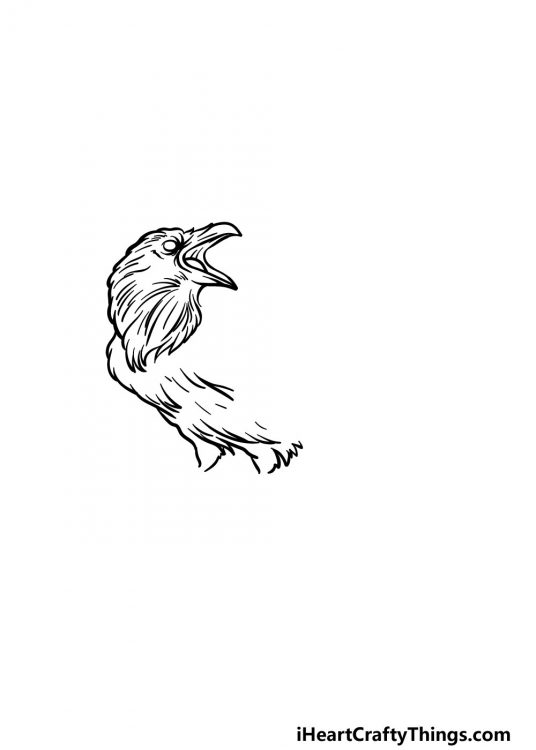 Raven Drawing - How To Draw A Raven Step By Step