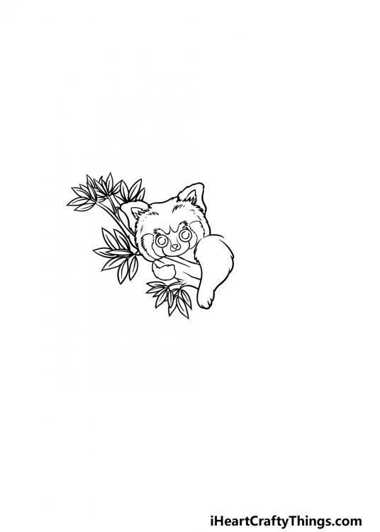 Red Panda Drawing - How To Draw A Red Panda Step By Step