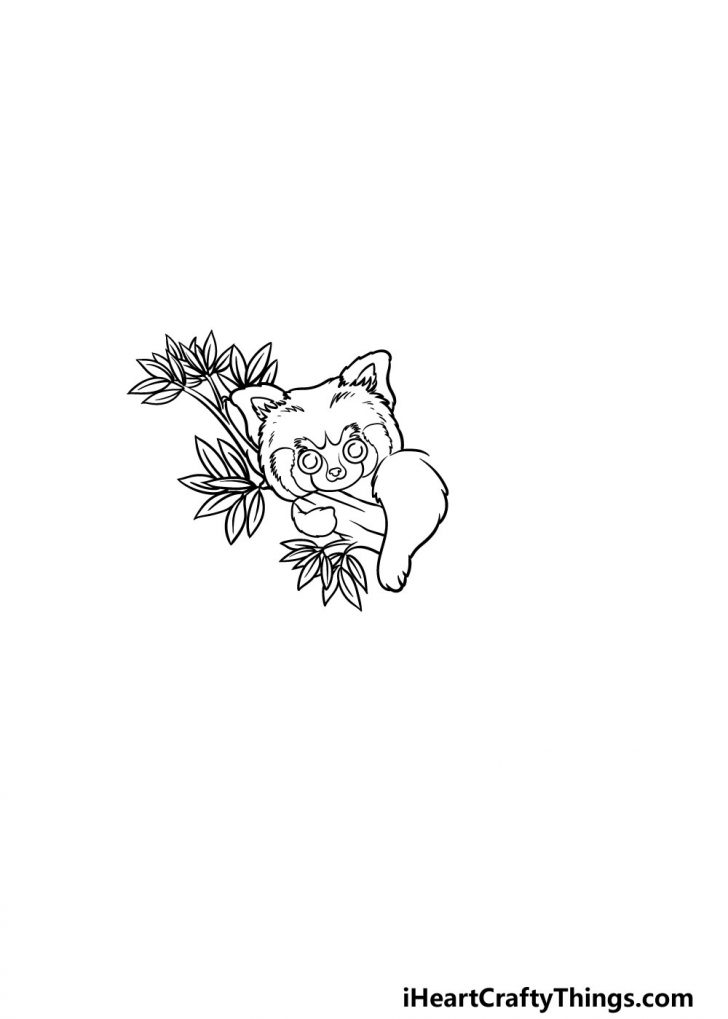 Red Panda Drawing - How To Draw A Red Panda Step By Step