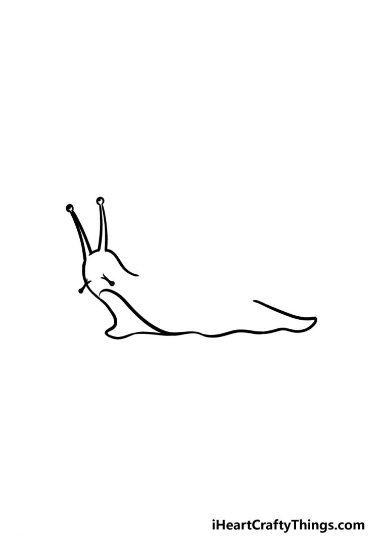 Snail Drawing - How To Draw A Snail Step By Step