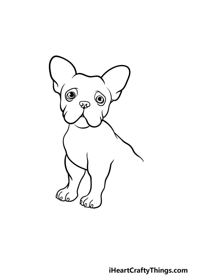French Bulldog Drawing - How To Draw A French Bulldog Step By Step