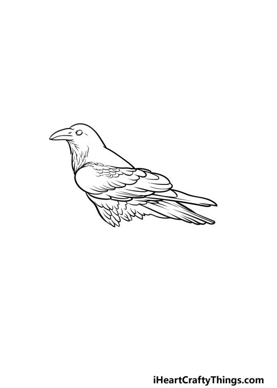 Crow Drawing - How To Draw A Crow Step By Step