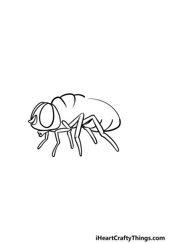 Fly Drawing - How To Draw A Fly Step By Step