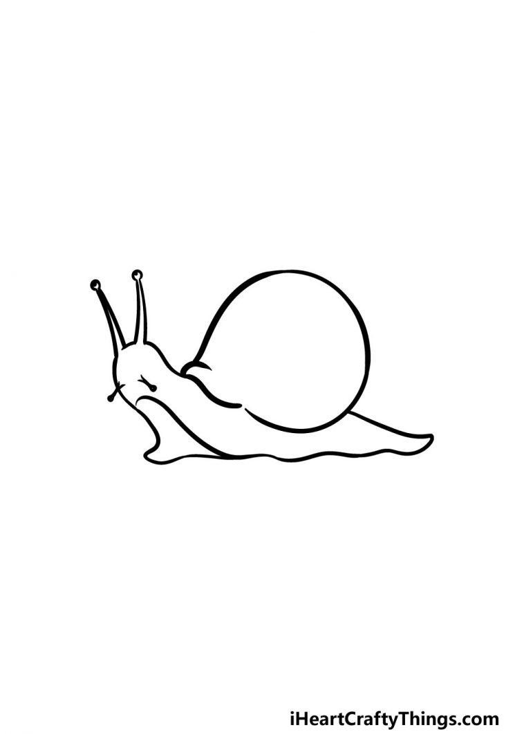 Snail Drawing - How To Draw A Snail Step By Step