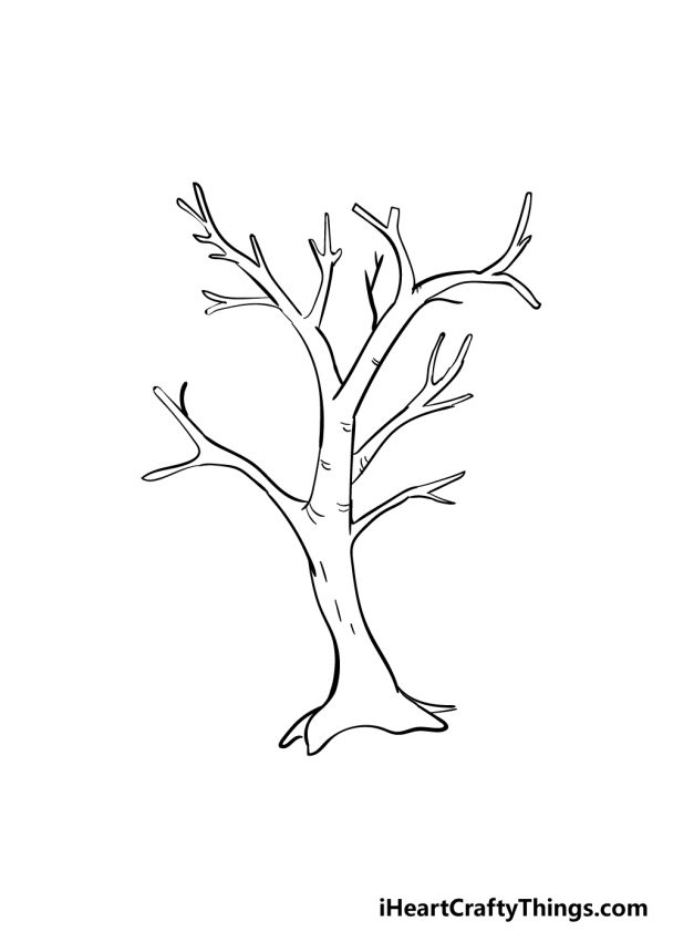 Branches Drawing - How To Draw Branches Step By Step