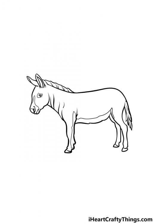 Donkey Drawing - How To Draw A Donkey Step By Step