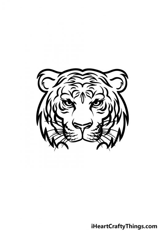Tiger Face Drawing - How To Draw A Tiger Face Step By Step
