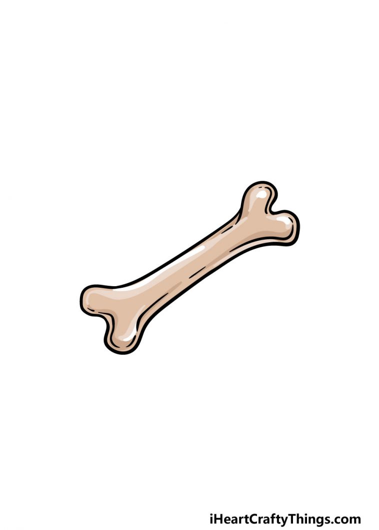 Bone Drawing - How To Draw A Bone Step By Step