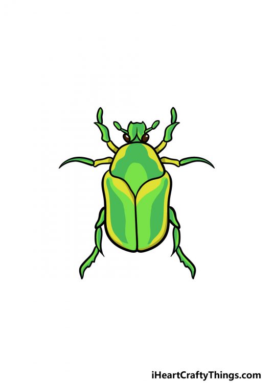 Bug Drawing - How To Draw A Bug Step By Step