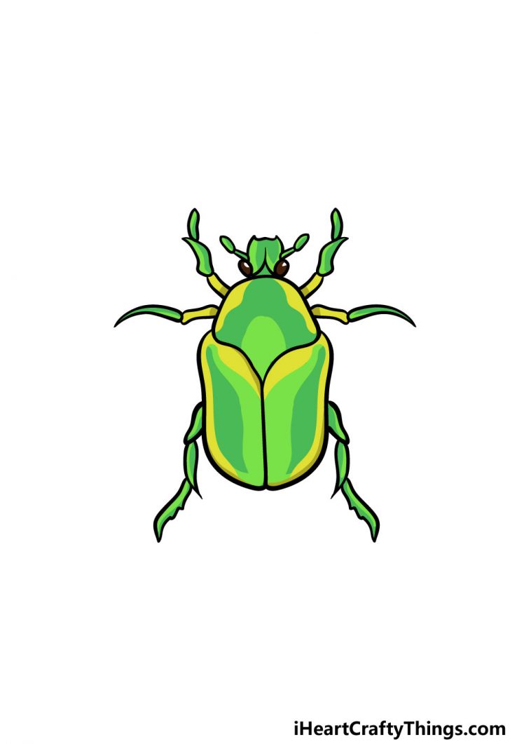 Bug Drawing - How To Draw A Bug Step By Step