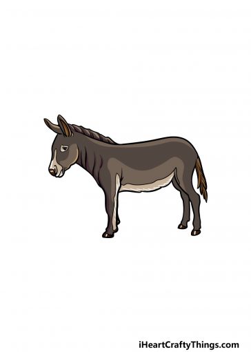 Donkey Drawing - How To Draw A Donkey Step By Step