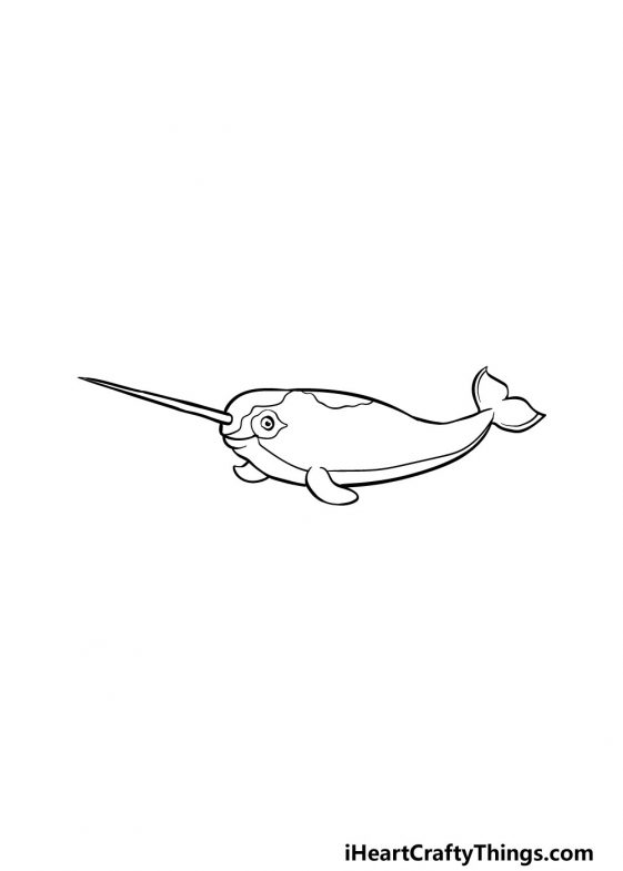 Narwhal Drawing - How To Draw A Narwhal Step By Step