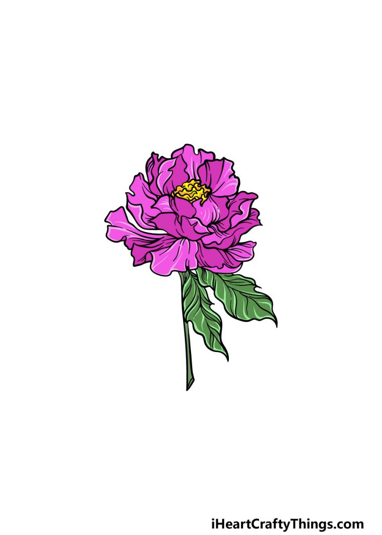 Peony Drawing - How To Draw A Peony Step By Step