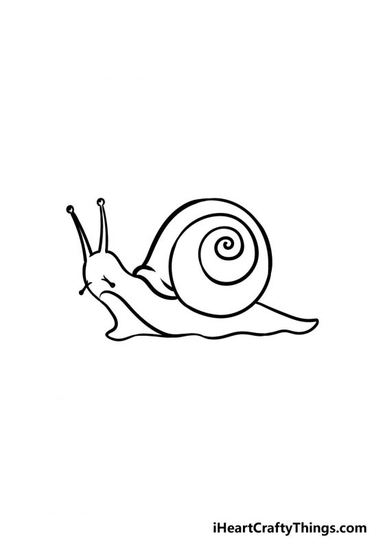 Snail Drawing - How To Draw A Snail Step By Step