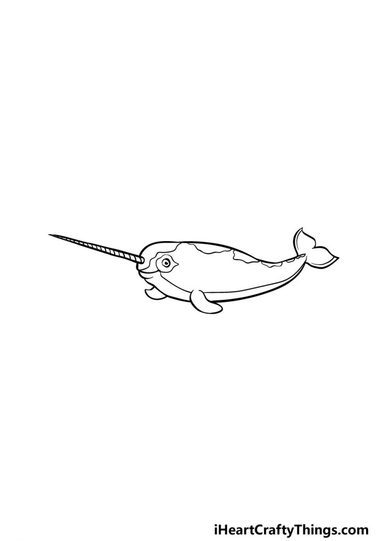 Narwhal Drawing - How To Draw A Narwhal Step By Step
