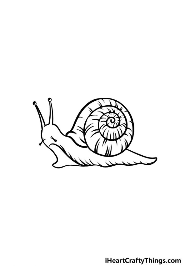 Snail Drawing - How To Draw A Snail Step By Step