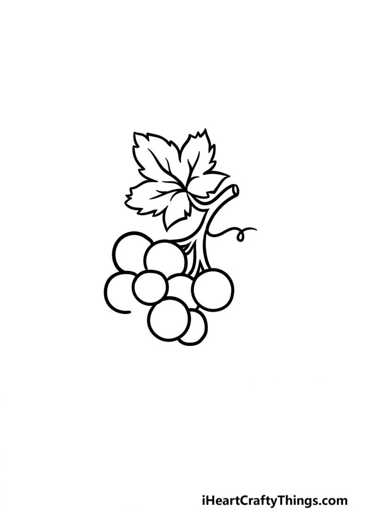 Grapes Drawing - How To Draw Grapes Step By Step