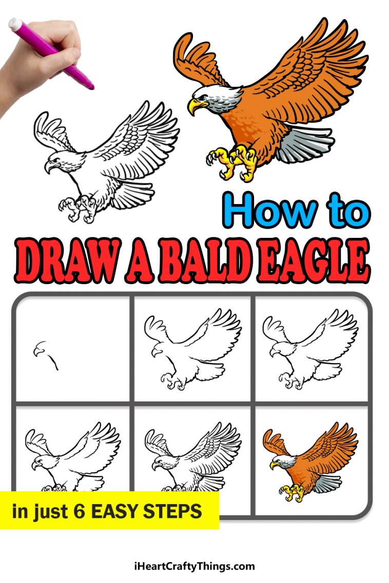 Bald Eagle Drawing - How To Draw A Bald Eagle Step By Step