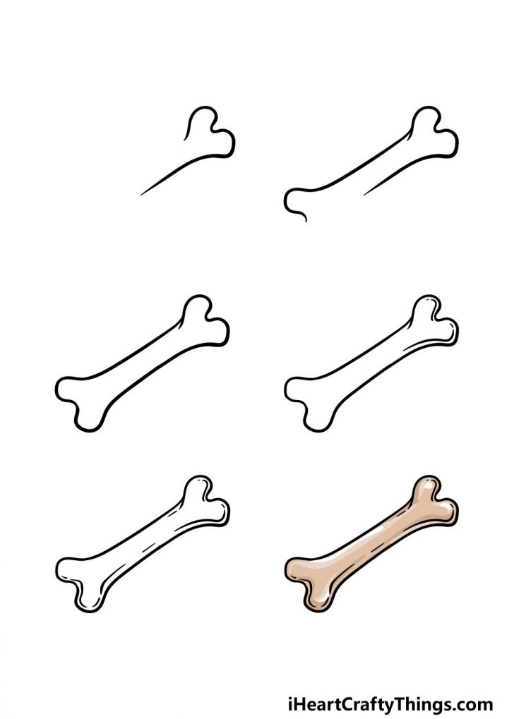 Bone Drawing - How To Draw A Bone Step By Step