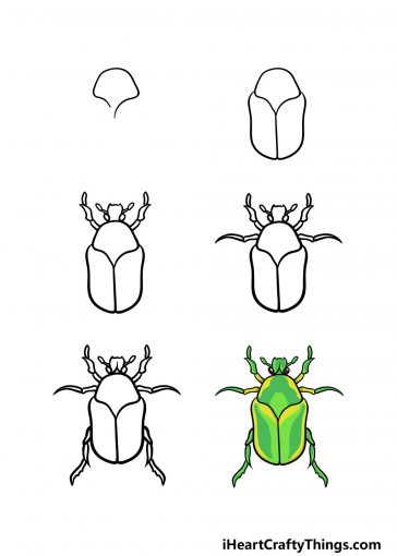 Bug Drawing - How To Draw A Bug Step By Step