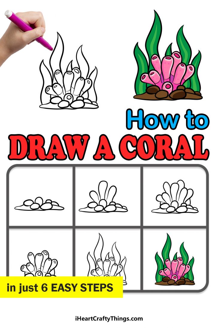 Coral Drawing - How To Draw Coral Step By Step