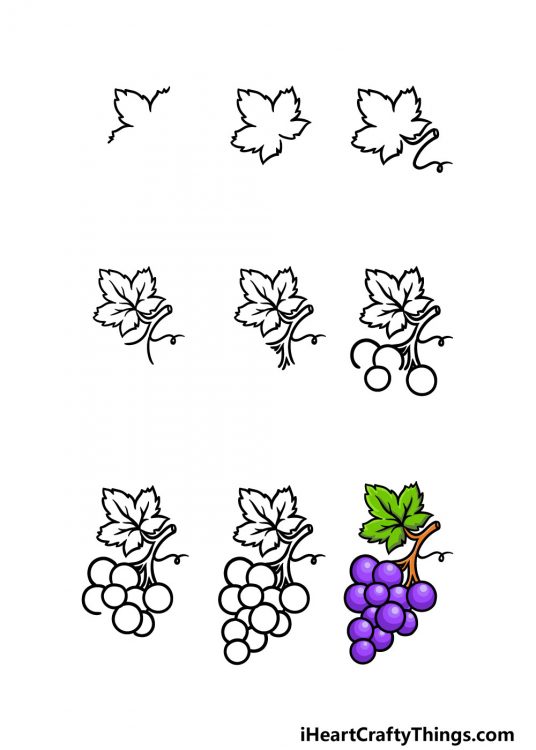Grapes Drawing - How To Draw Grapes Step By Step