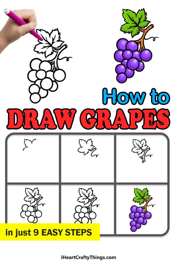 Grapes Drawing - How To Draw Grapes Step By Step