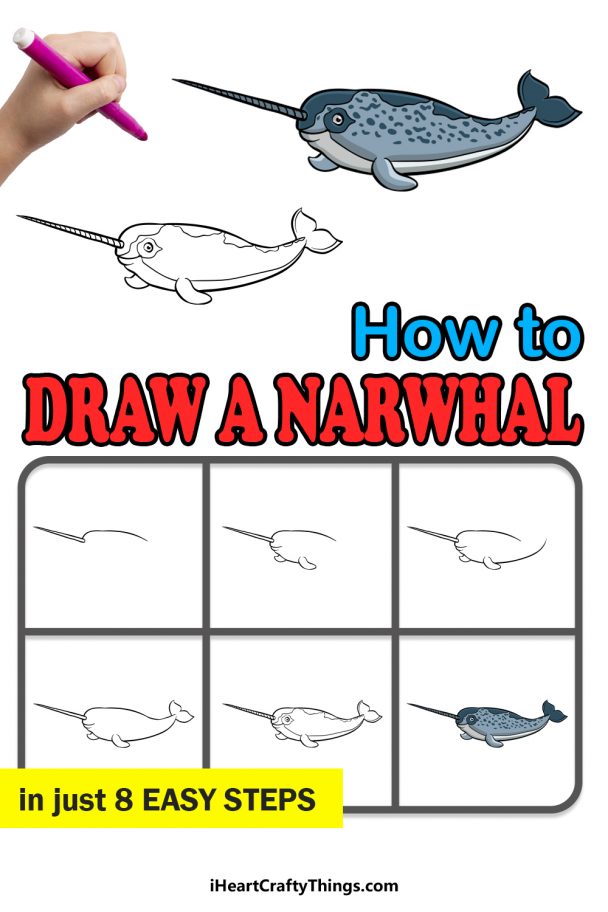 Narwhal Drawing - How To Draw A Narwhal Step By Step