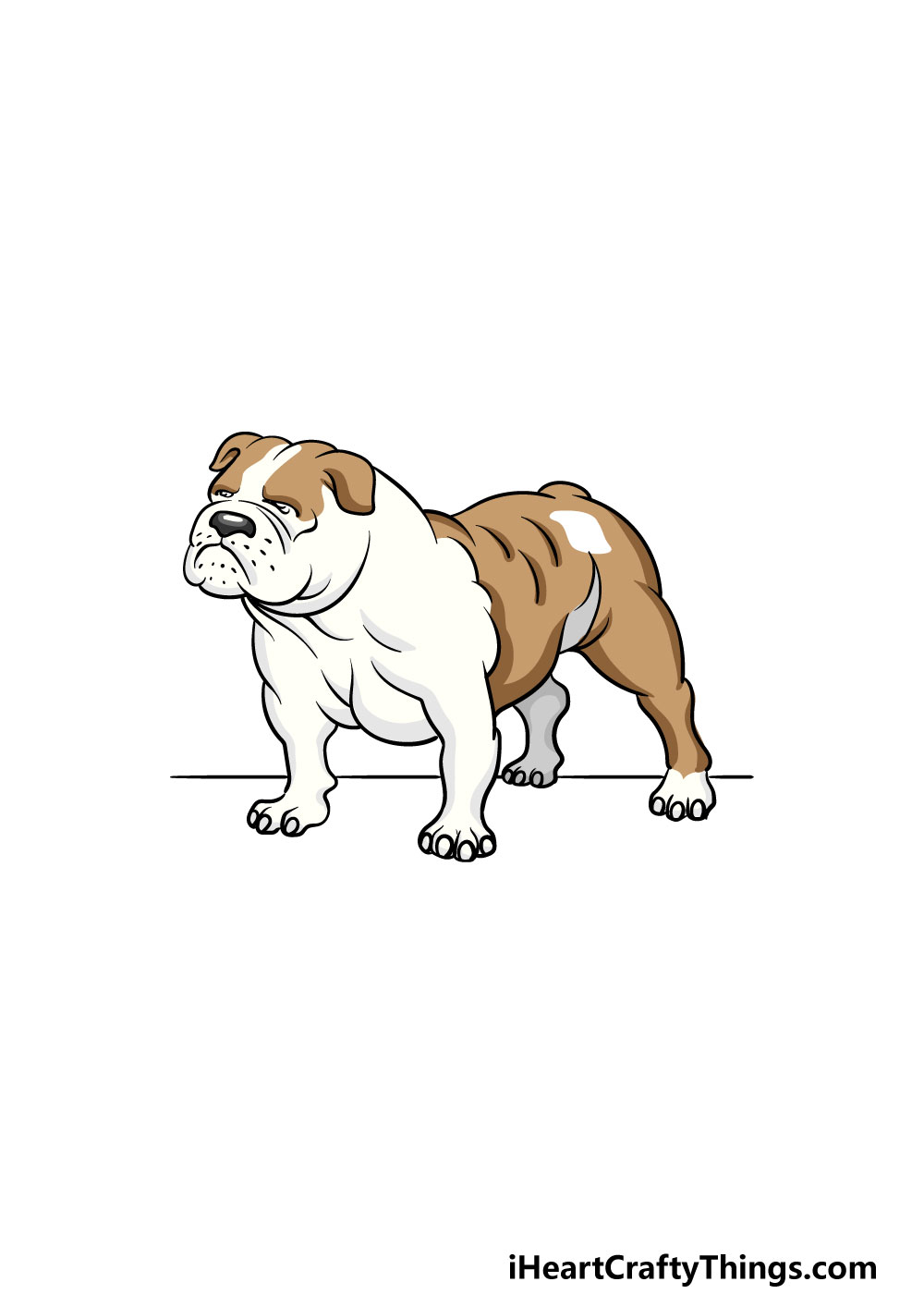Bulldog Drawing - How To Draw A Bulldog Step By Step