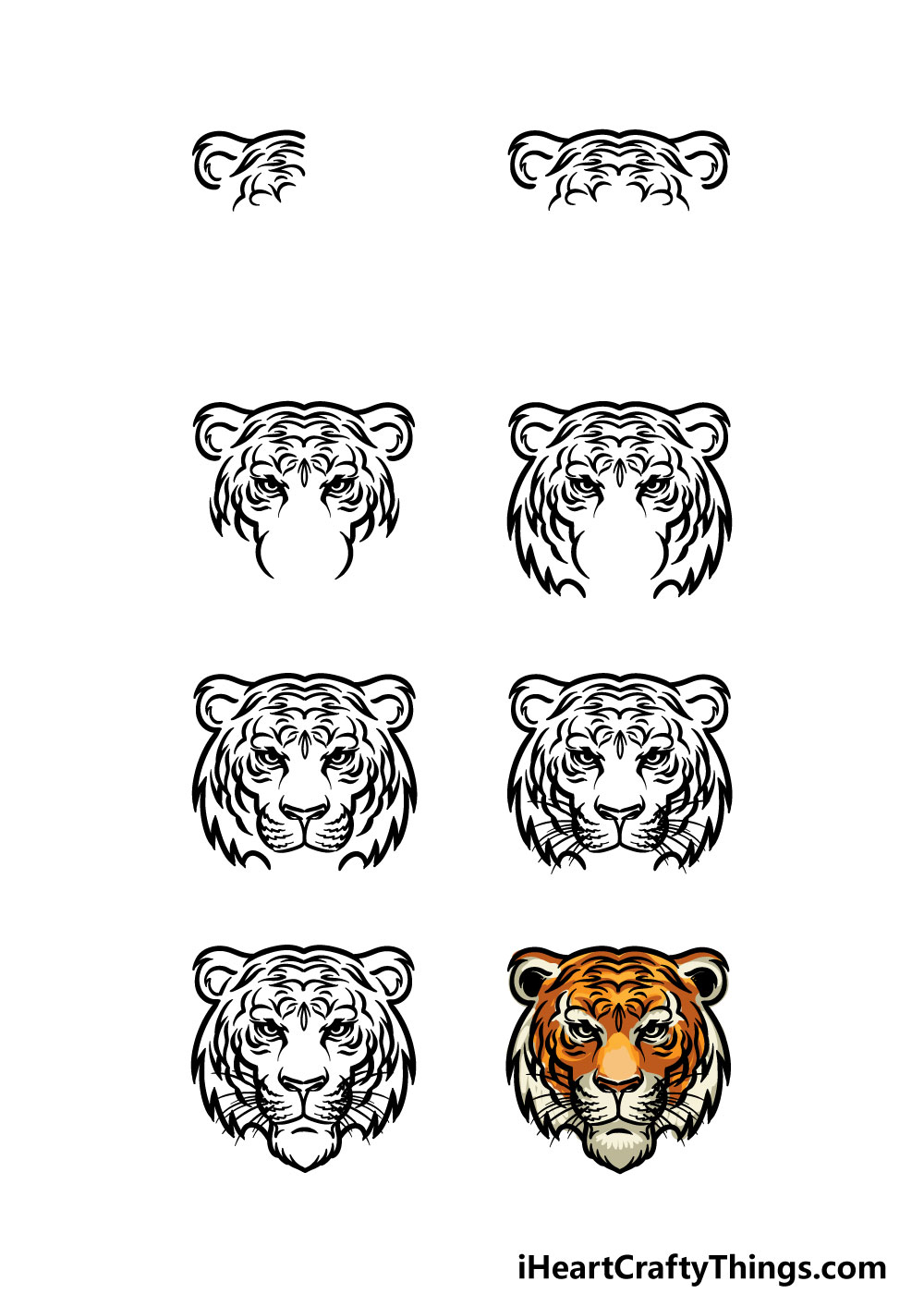 How To Draw A Tiger Step By Step Realistic