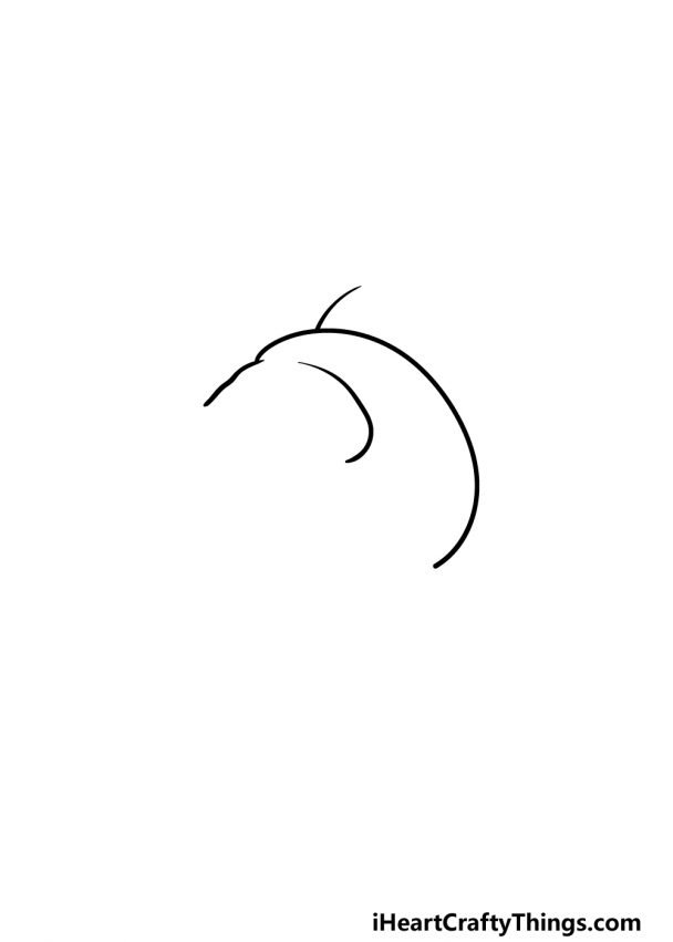 Bass Drawing - How To Draw A Bass Step By Step