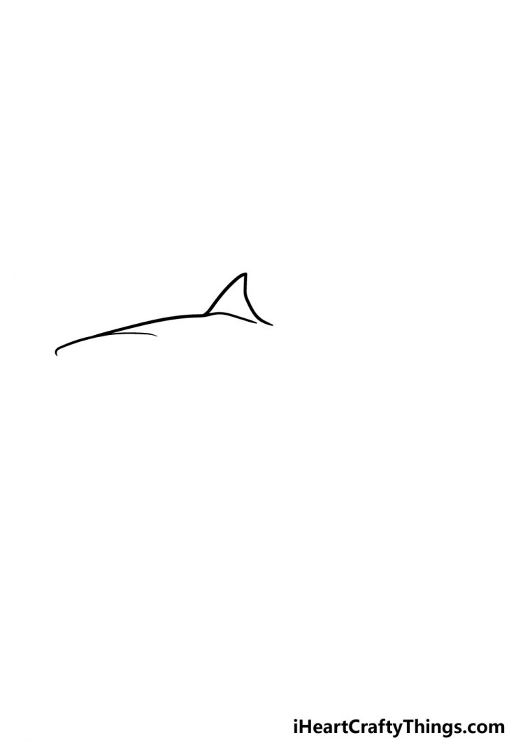 Megalodon Drawing - How To Draw A Megalodon Step By Step