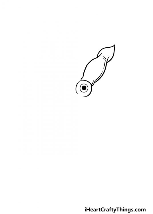 Squid Drawing - How To Draw A Squid Step By Step