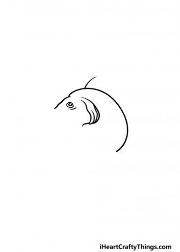 Bass Drawing - How To Draw A Bass Step By Step