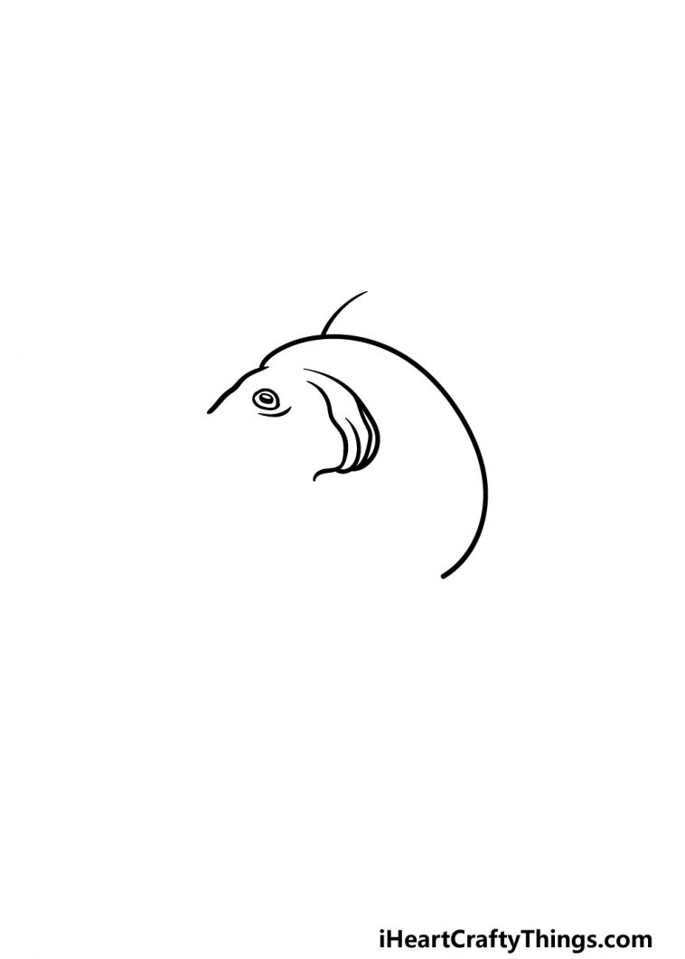 Bass Drawing - How To Draw A Bass Step By Step