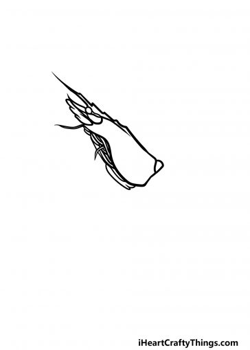 Shrimp Drawing - How To Draw A Shrimp Step By Step