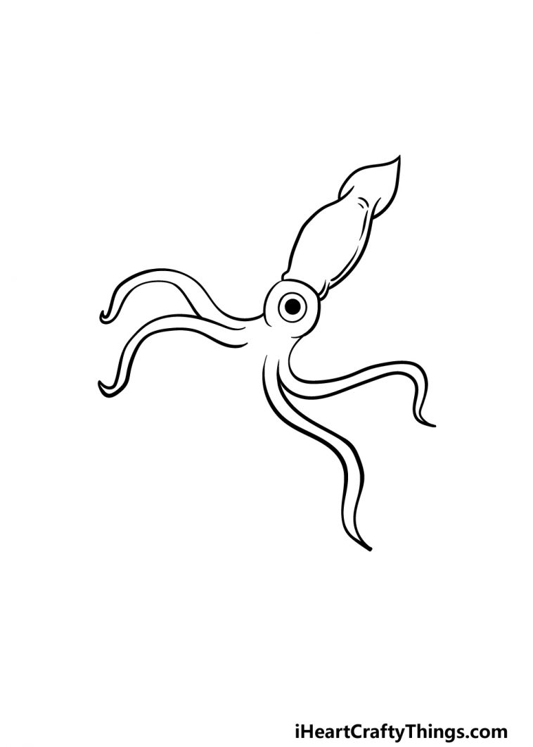 Squid Drawing - How To Draw A Squid Step By Step